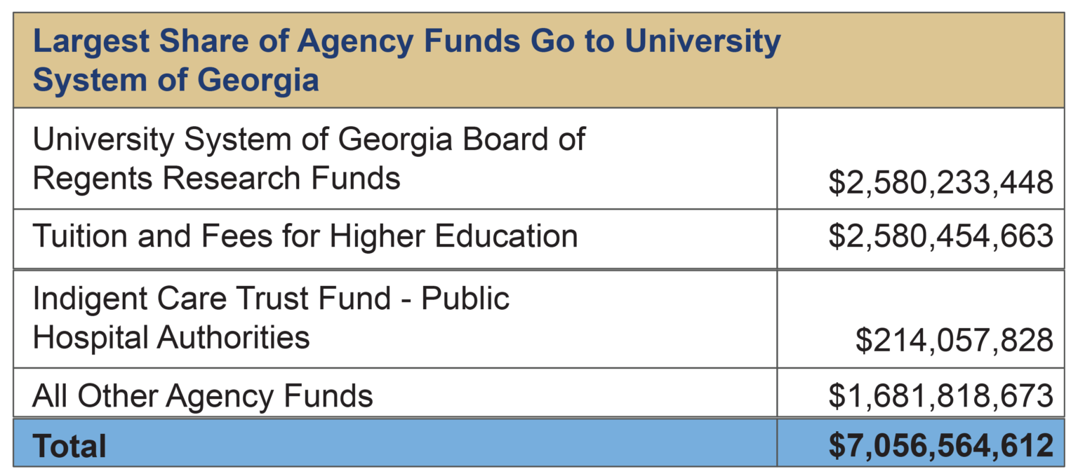 Georgia Revenue Primer for State Fiscal Year 2022 - Georgia Budget and ...