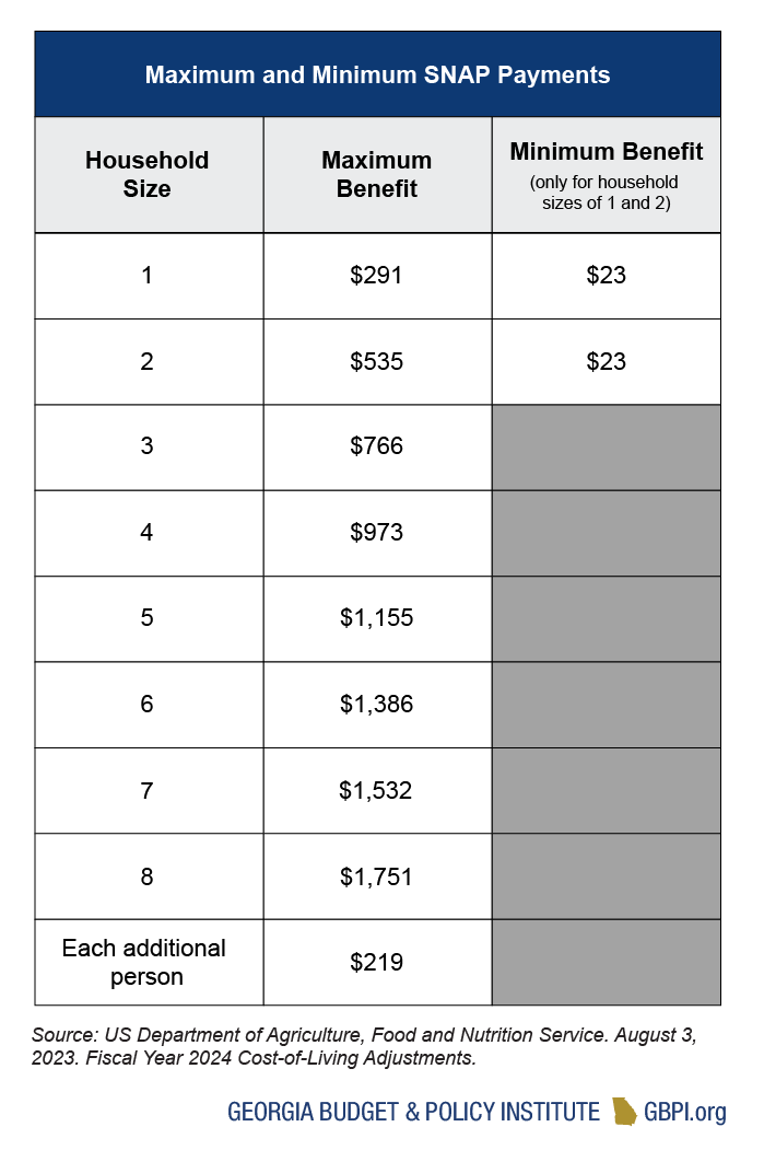 The Basics of the Supplemental Nutrition Assistance Program in Georgia ...