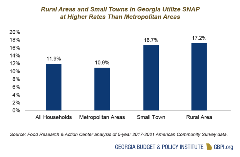 The Basics of the Supplemental Nutrition Assistance Program in Georgia ...