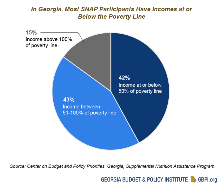 The Basics of the Supplemental Nutrition Assistance Program in Georgia ...