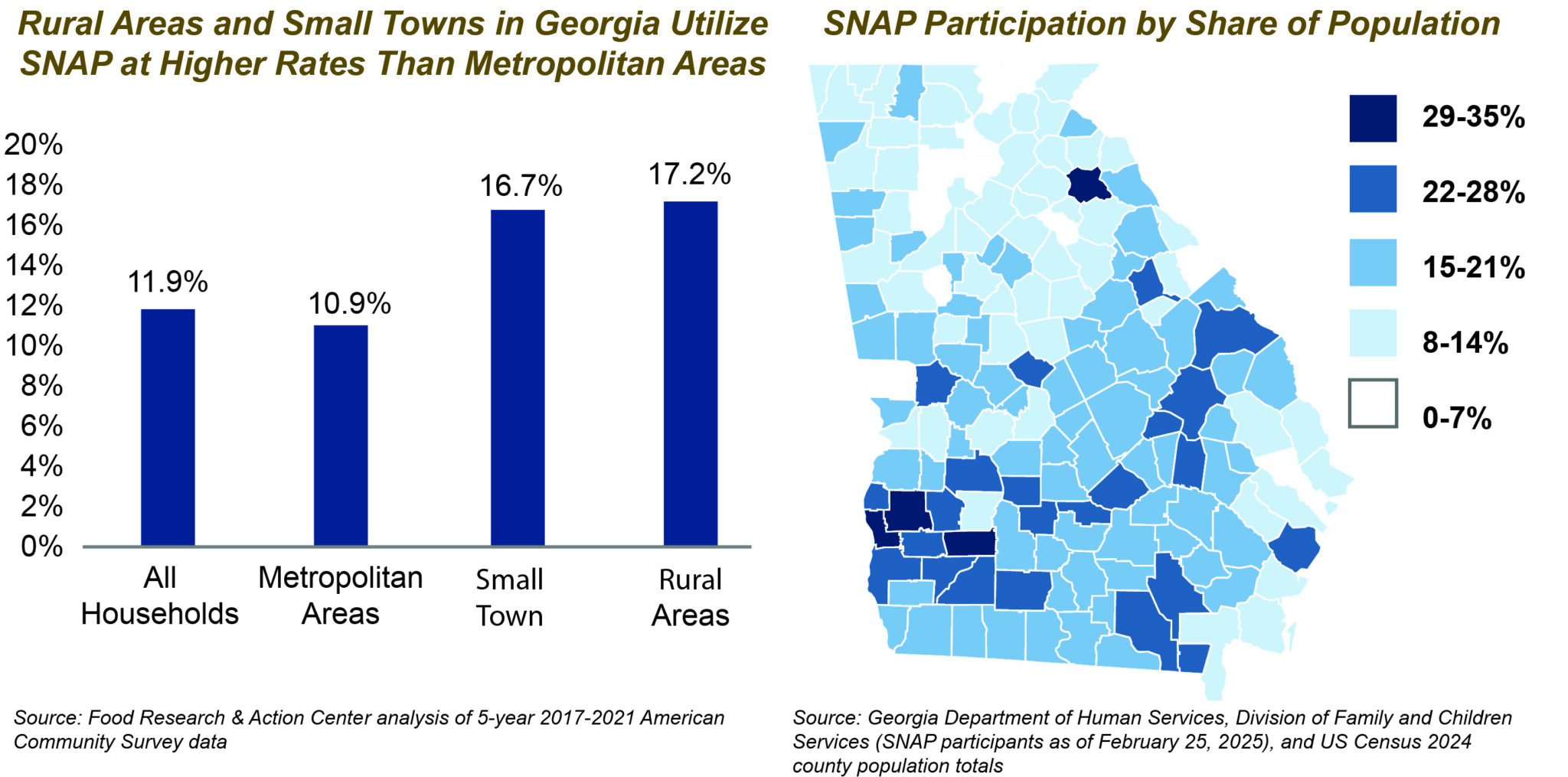 The Basics of the Supplemental Nutrition Assistance Program in Georgia ...