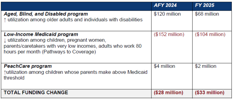 Overview: 2025 Fiscal Year Budget for the Department of Community ...